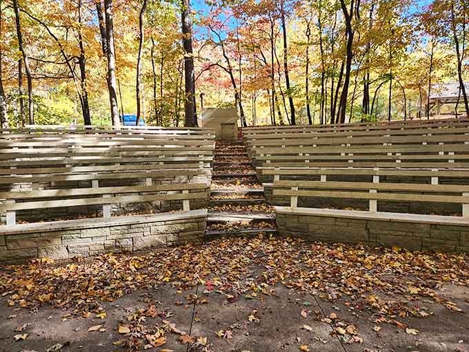 This amphitheater hosts nature's best performances, from bird concerts to rustling leaves in surround sound.