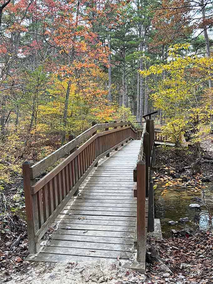 Wooden bridges cross streams where fall colors reflect like watercolor paintings come to life below.