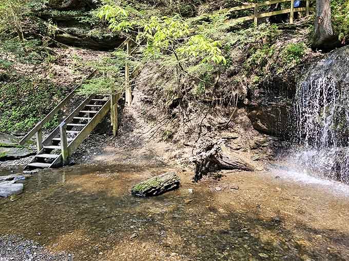 Those wooden stairs mean business—your quads will remember this hike long after you leave today.