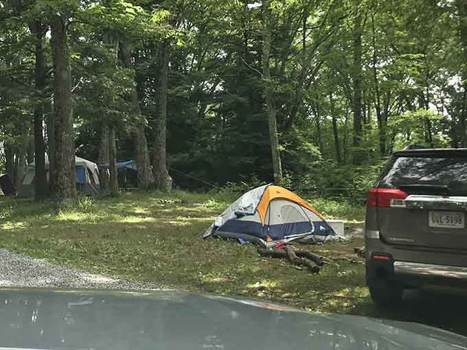 Camping here means waking up to views that make your tent feel like a five-star resort.