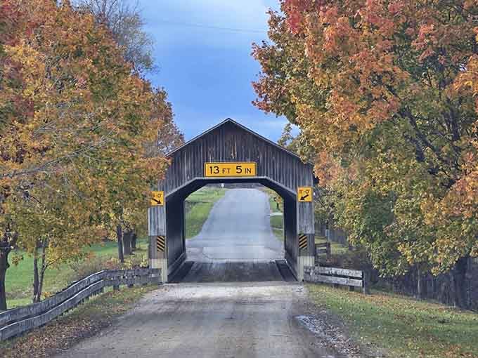 Fall foliage frames this beauty like nature hired a professional set designer for the perfect Instagram moment.