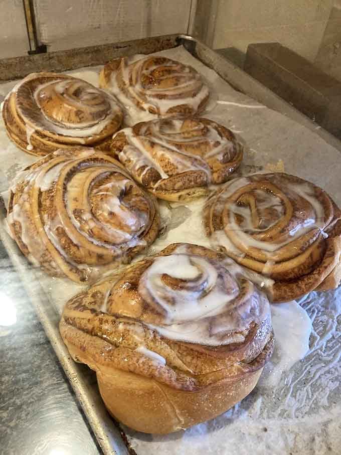 Fresh cinnamon rolls lined up like sweet, sticky soldiers ready to make your morning absolutely perfect and unforgettable.