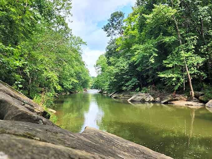 The peaceful waters of Honey Run Creek wind through the forest like nature's own lazy river minus the inner tubes.