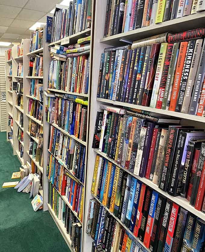 Shelves packed with bestsellers and hidden gems create a colorful maze that bibliophiles dream about nightly.