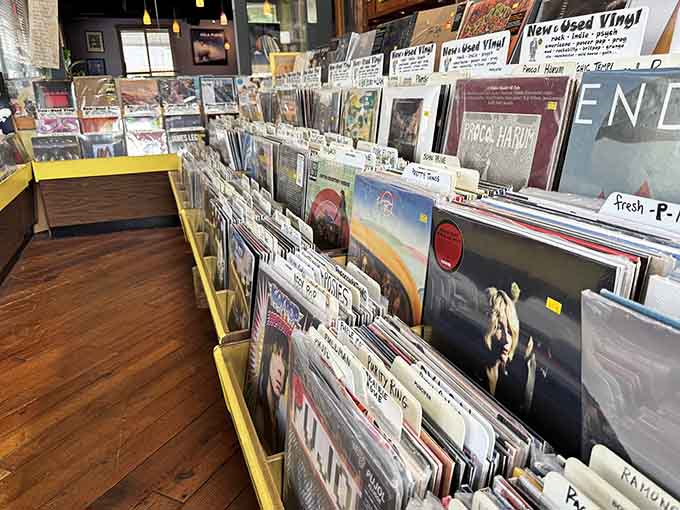 Fresh arrivals and new releases share shelf space with classics, creating the perfect browsing experience for any collector.