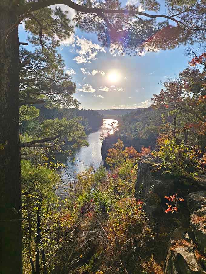 Golden hour transforms ordinary hiking into something worthy of a nature documentary soundtrack.