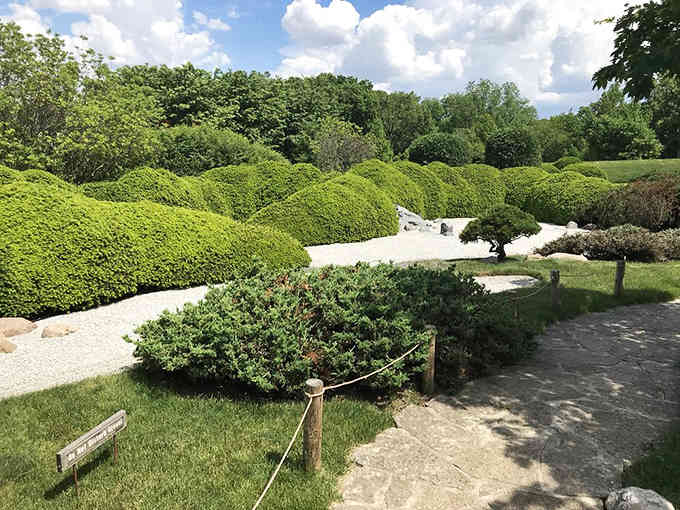 Sculpted shrubs create rolling green waves that required more patience than binge-watching every streaming service combined.