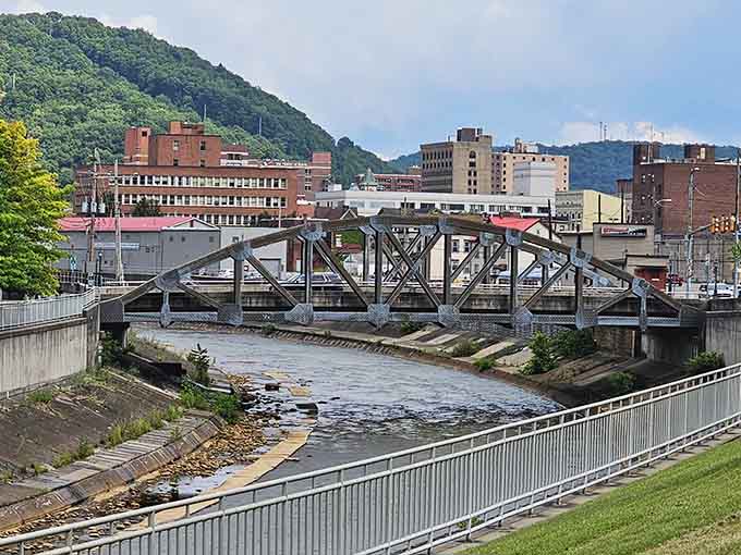 A historic bridge spans the river like an industrial-age sculpture, connecting neighborhoods and eras with equal grace and sturdy Pennsylvania engineering.