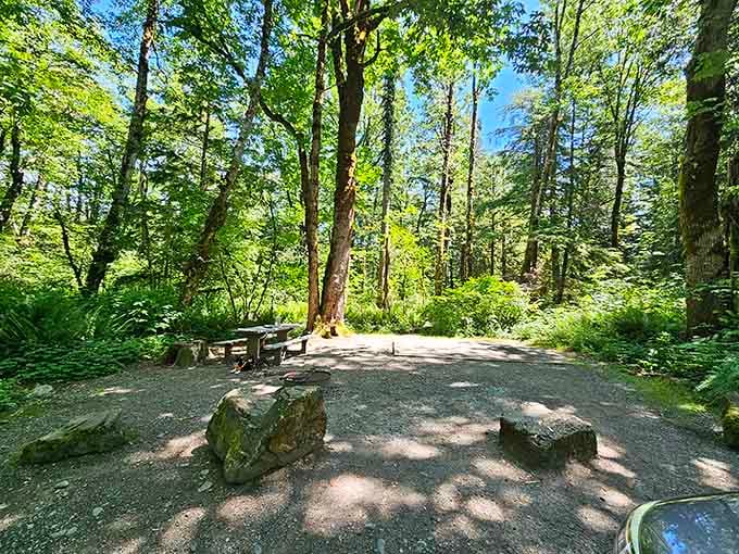 Campsites so private, you might actually forget other humans exist. That's not a bug, it's a feature.