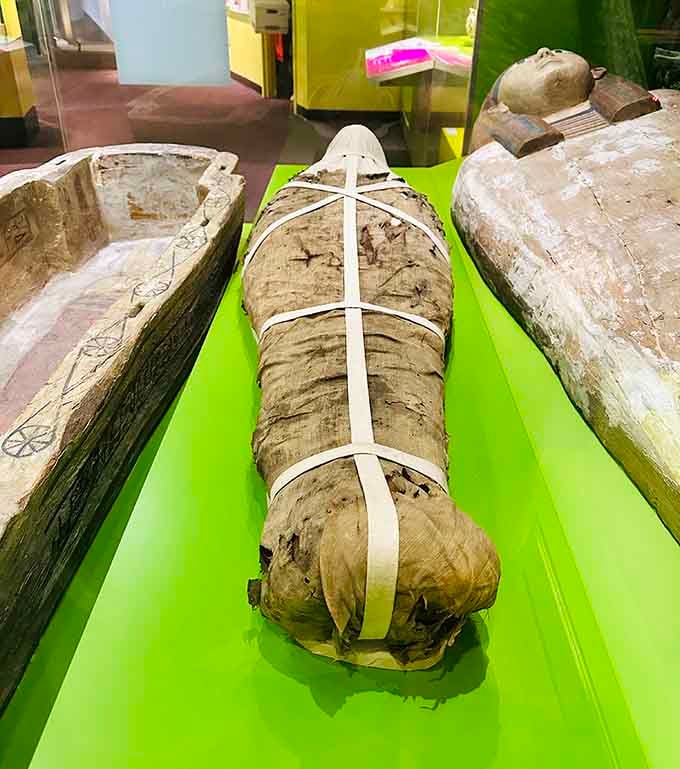 Yes, that's a real ancient Egyptian mummy, because apparently Louisville keeps things way more interesting than you expected.
