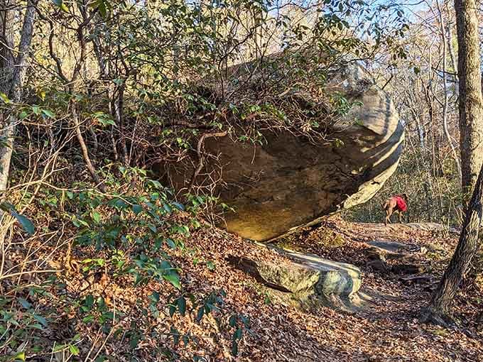 The natural bridge rock formation itself, thousands of years in the making and worth every geological second.