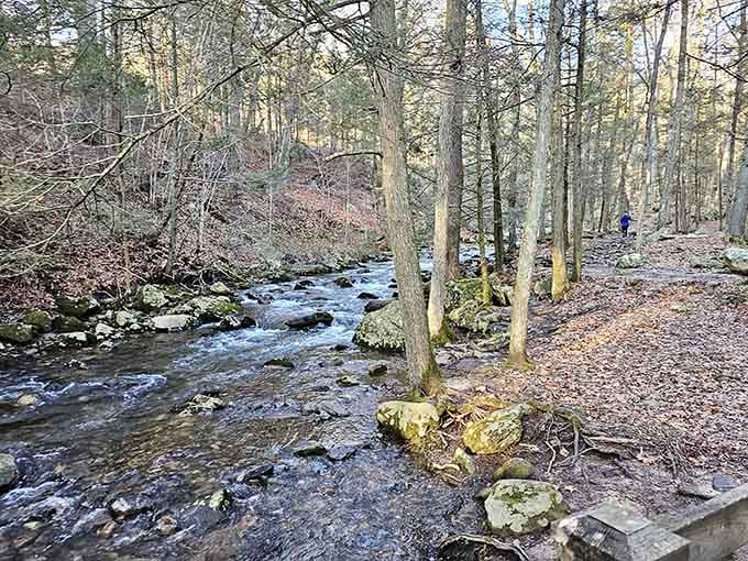 Winter transforms the trails into a peaceful wonderland where your footprints are the only ones breaking new ground.