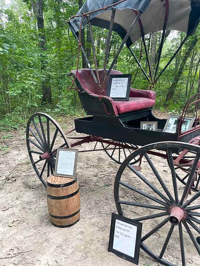 This elegant carriage represents luxury transportation when "horsepower" meant something entirely different and more literal than today.
