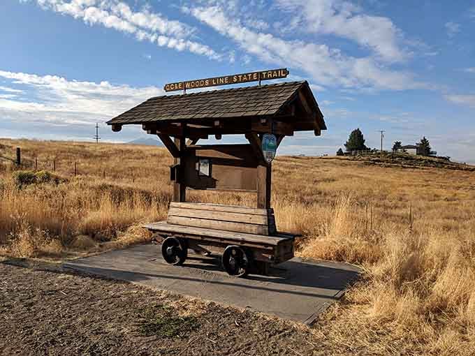 The OC&E Woods Line Trail stretches across landscapes where silence is golden and cell service optional.