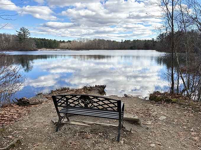 Strategic bench placement proves someone actually thought about where tired hikers need contemplative rest stops.