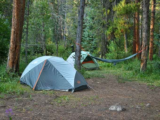 Camping at altitude means waking up to views that make your tent's lack of amenities seem totally worth it.