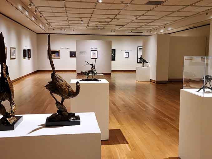 Inside, bird sculptures take center stage in galleries that feel welcoming rather than stuffy or overwhelming to visitors.