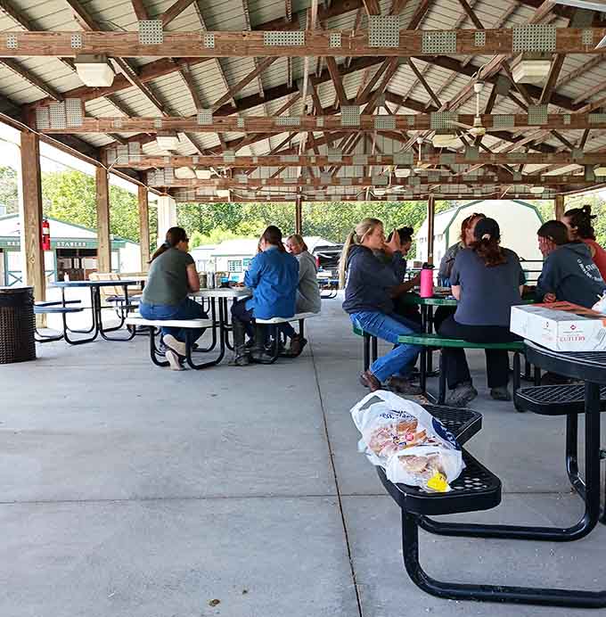 This covered pavilion offers the perfect spot for volunteers and visitors to gather, share stories, and plan their next animal encounter.