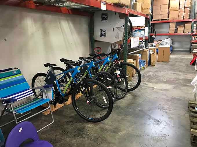 Bicycles waiting for their next adventure, proving that two-wheeled freedom doesn't require a second mortgage payment plan.