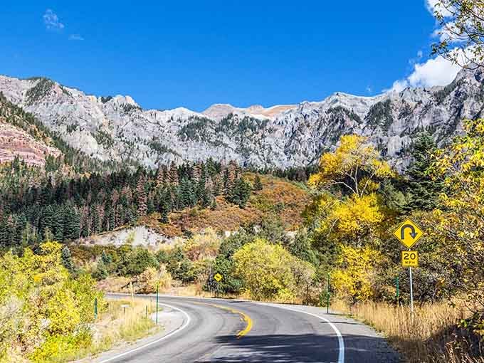 Fall colors blanket the roadside like someone spilled every crayon from the warm color family across the landscape.