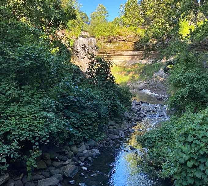 The gorge stretches downstream, carved by thousands of years of water that clearly knew what it was doing.