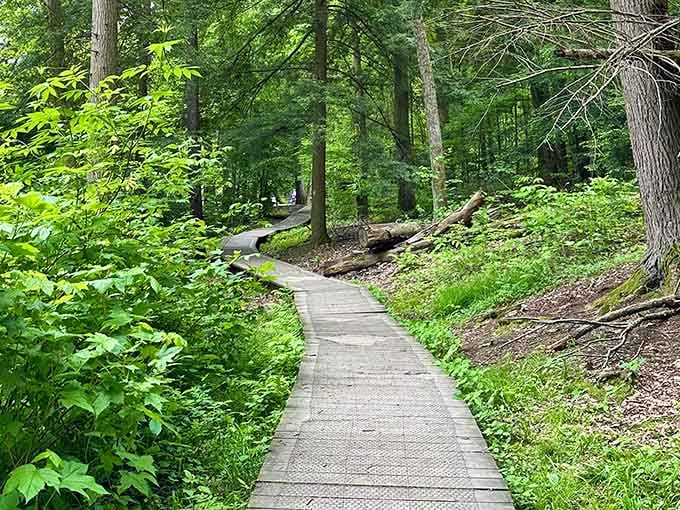 Boardwalk trails mean you can explore the hemlock forest without sacrificing your good walking shoes to mud.