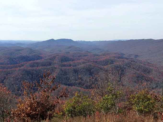 Rolling mountains fade into the distance like waves frozen in time, each ridge telling stories millions of years old.
