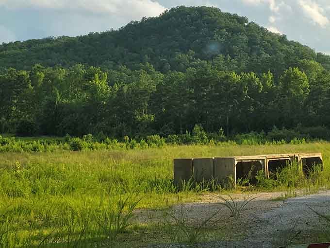That mountain backdrop rising behind the fields makes you wonder why you ever thought Alabama was flat.