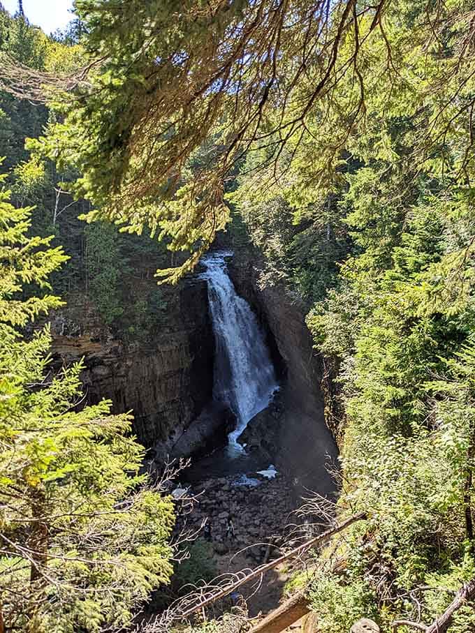 From above, the falls nestle into the forest like a hidden treasure waiting to be discovered.