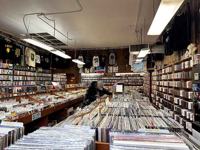 Every aisle is its own universe, each bin a portal to memories you forgot you had stored away.