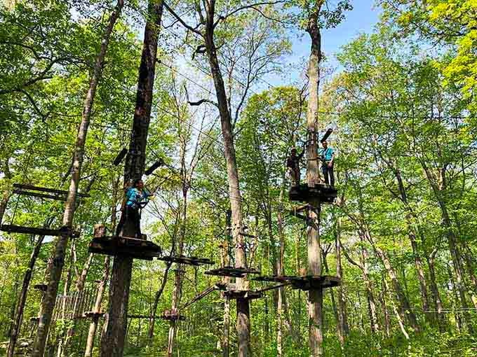 Mystic TreeTrails Adventures Mystic: Platforms among the trees for people who think regular hiking is too pedestrian and need their nature vertical.