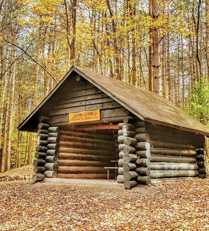 The Alpine Lodge stands as a testament to craftsmanship, each log perfectly placed like nature's own Lincoln Logs.