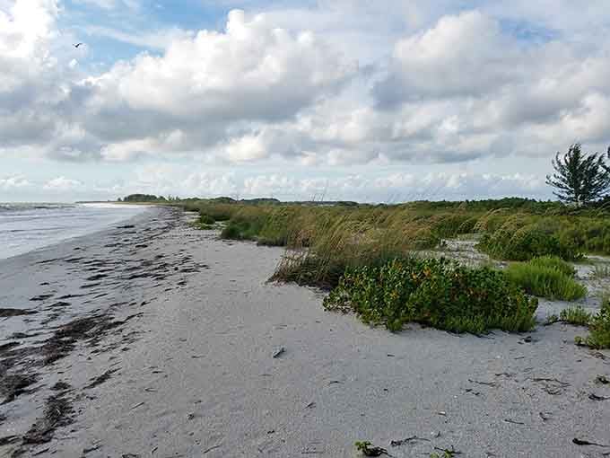 Natural vegetation meets sandy shore in this untouched landscape that developers haven't gotten their hands on yet, thankfully.