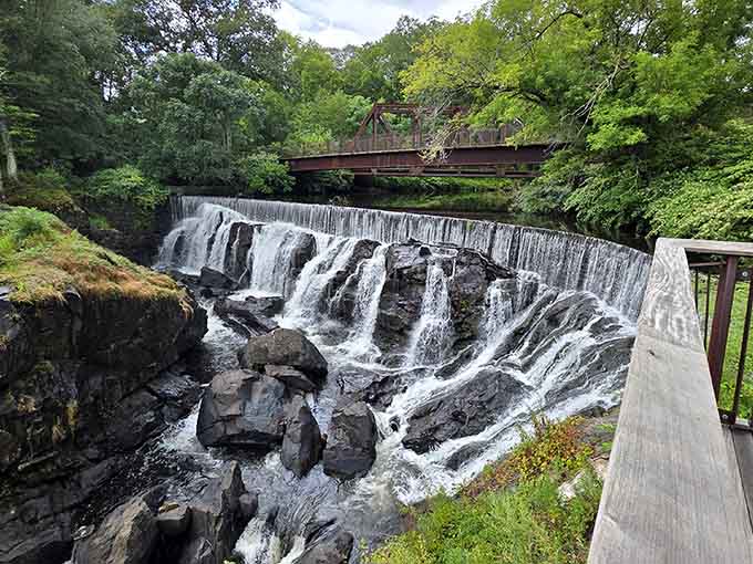 Water cascades over rocks with the kind of natural drama that makes you forget about your utility bills temporarily.