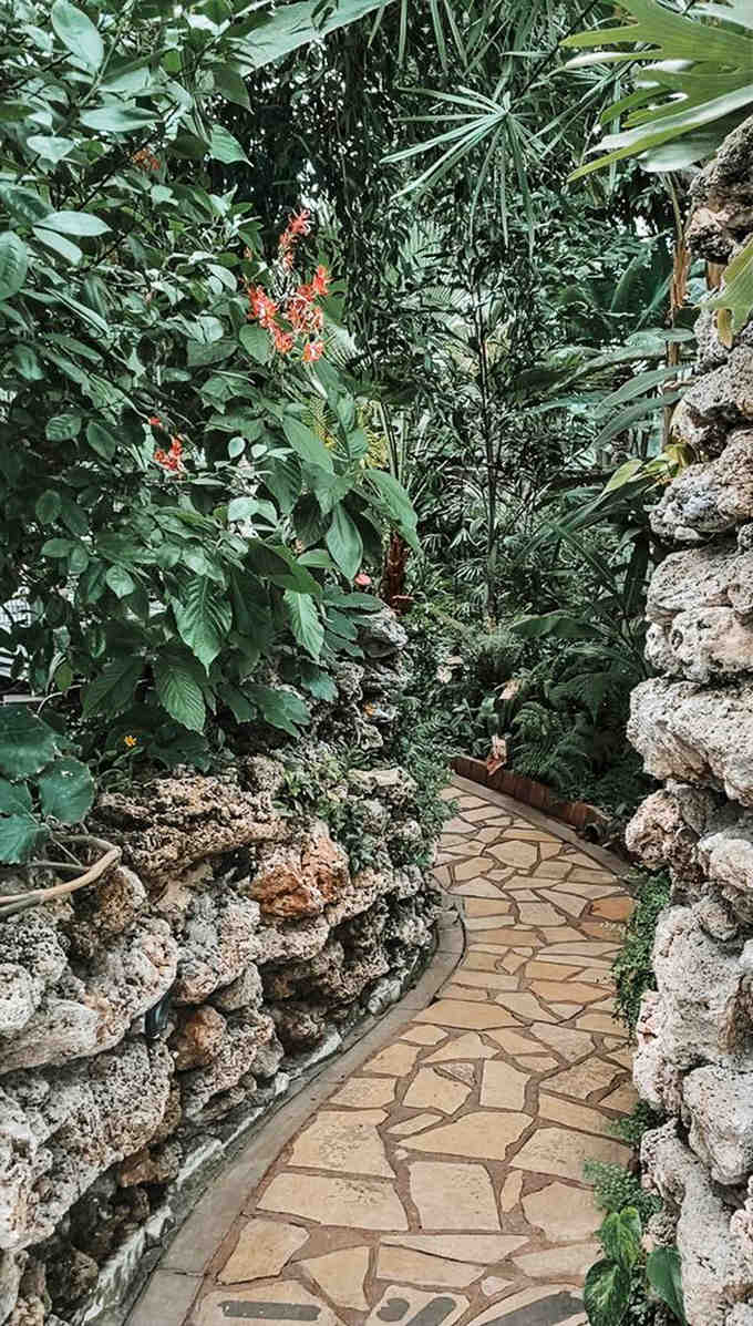 Stone-lined pathways wind through tropical paradise, proving Illinois winters are just a temporary inconvenience.