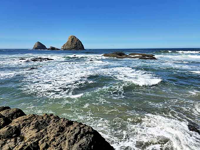 Maxwell Point tide pools reveal an underwater world where crabs scuttle around like tiny, armored commuters during rush hour.