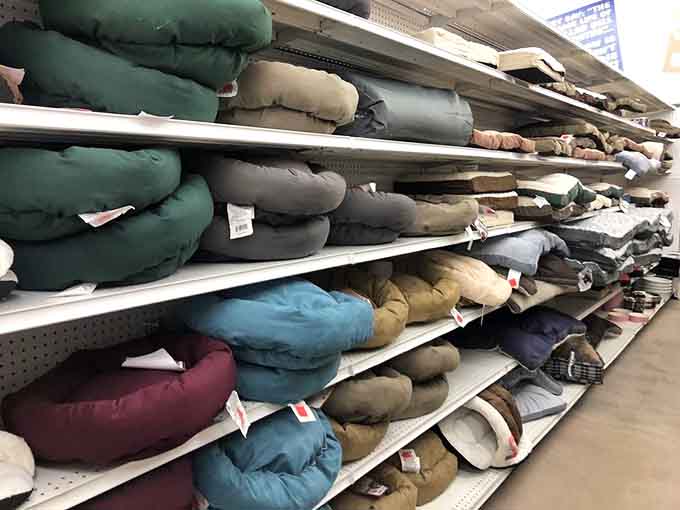 Pet beds so plush your furry friends will think they've won the lottery today.