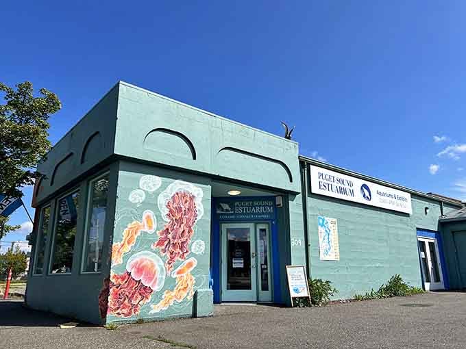 Puget Sound Estuarium brings marine life up close, teaching visitors about local ecosystems without the lecture hall vibe.