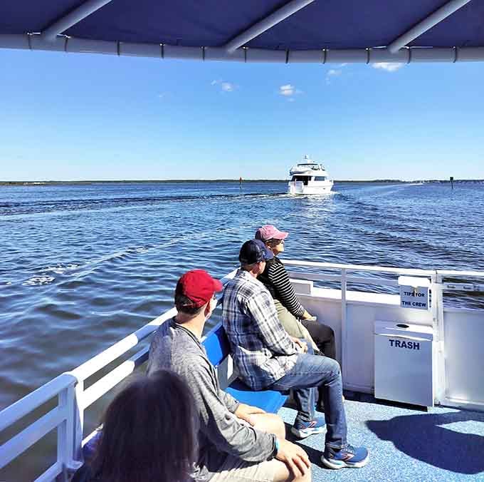 Dolphin cruises offer front-row seats to nature's most charming marine mammals doing their playful thing.