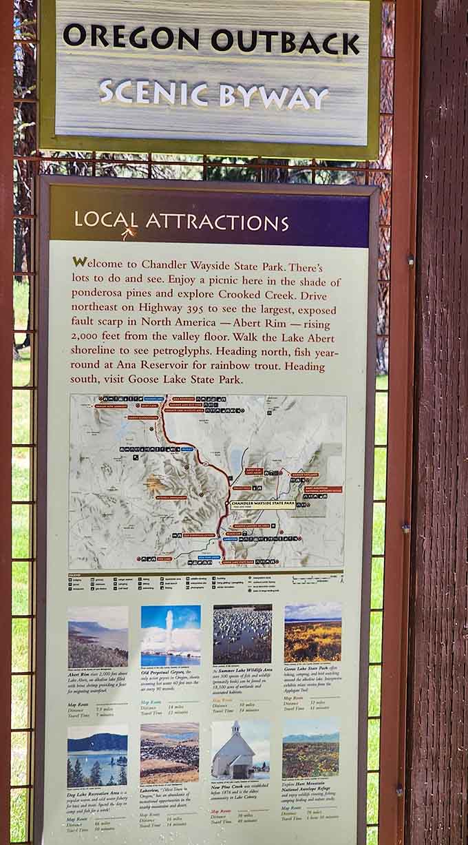 Your roadmap to adventure starts here, where every attraction promises something wonderfully unexpected around the next bend.