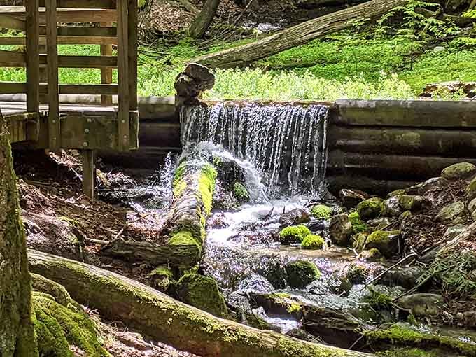 Iargo Springs flows peacefully through the forest, providing free therapy that doesn't require an appointment or copay.