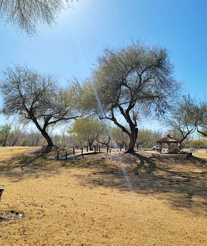 Shaded picnic spots at Ahakhav Tribal Preserve offer peaceful riverside moments away from the crowds.