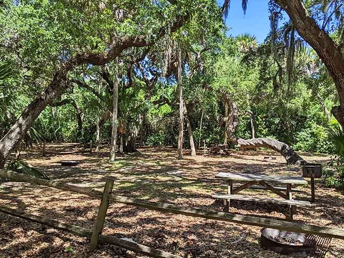 Shaded picnic spots overlook the water, perfect for lunch with a view that doesn't require a reservation or valet.
