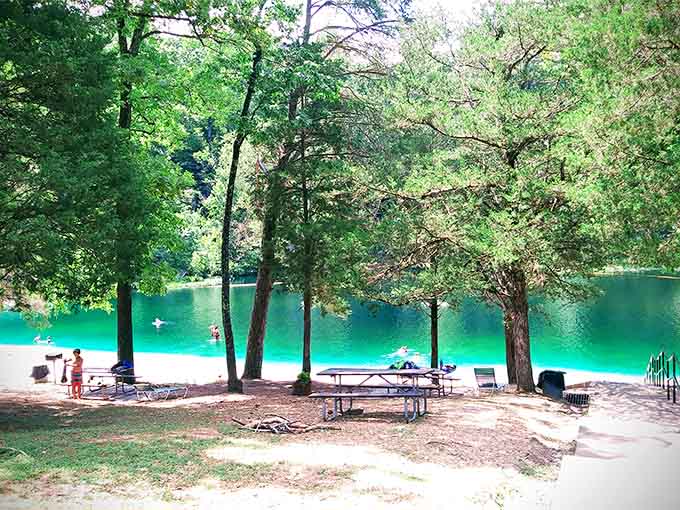 Shaded picnic spots with that incredible water view make every meal taste better than it has any right to.