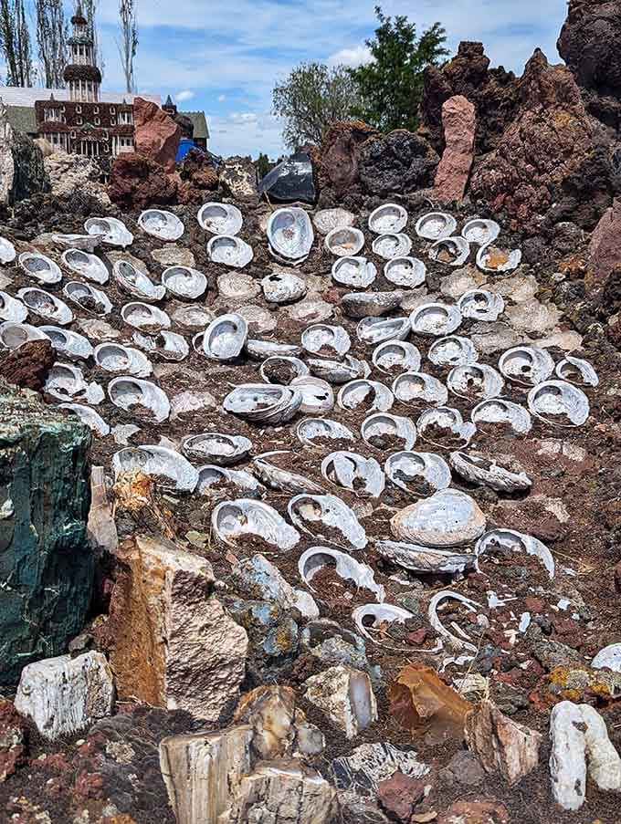 Abalone shells form waves of iridescent beauty, because why shouldn't the desert have its own version of ocean art?