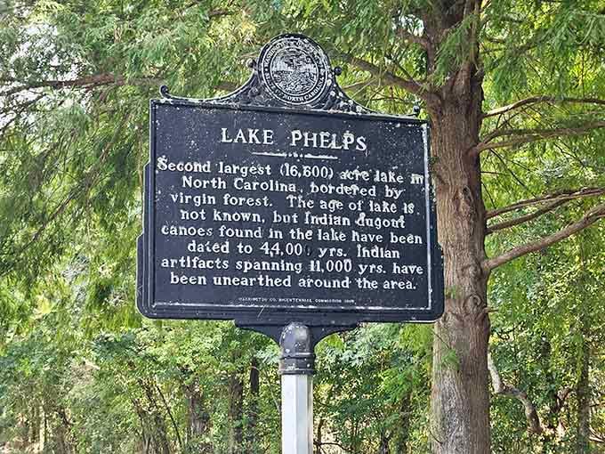 When a historical marker mentions 4,000-year-old canoes, you know you're standing somewhere truly remarkable.