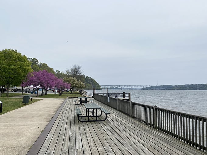 Marina Park's boardwalk lets you contemplate the Susquehanna without working up a sweat climbing those famous hills.