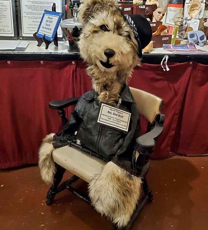 The Big Bad Wolf trades his storybook menace for leather-jacket cool in this delightfully unexpected display.