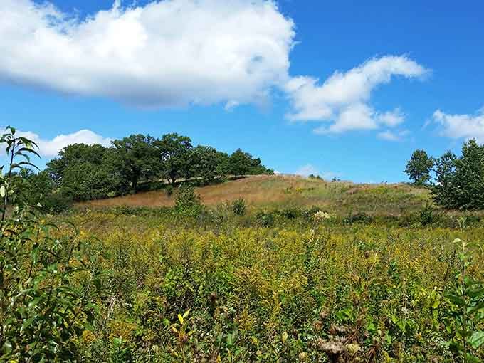 Endless green meadows stretch out like Wisconsin decided to show off its best side for once.
