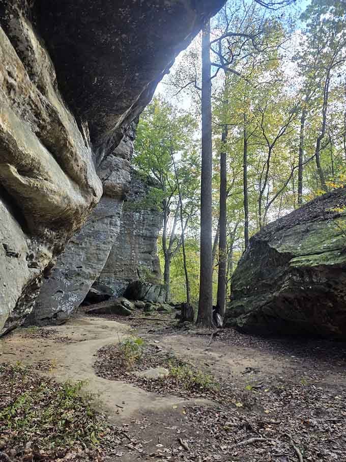 The path winds through rock corridors that feel like walking through geological time itself, minus the textbook.